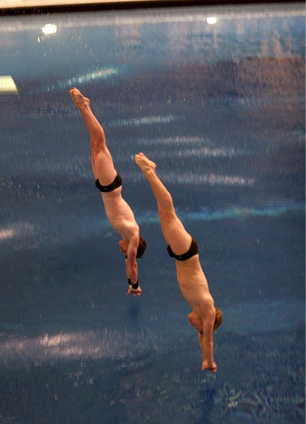 Mile High Dive Club > Home